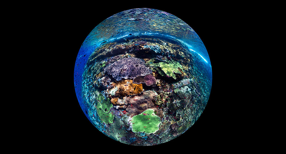 Ocean Decade – The Science We Need For The Ocean We Want