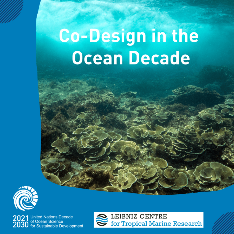 First Ocean Decade co-design training sets the tone for sustainable ...