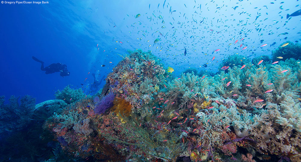 A new wave of transformative Decade Actions boosts the Ocean Decade ...